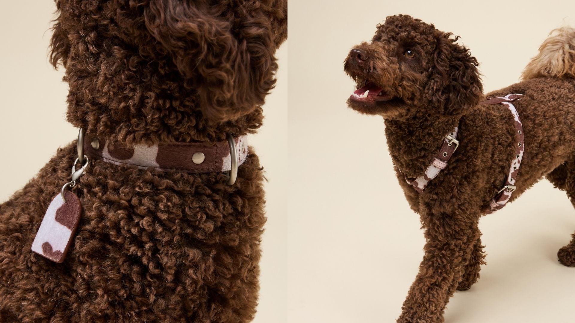 Studio Nala